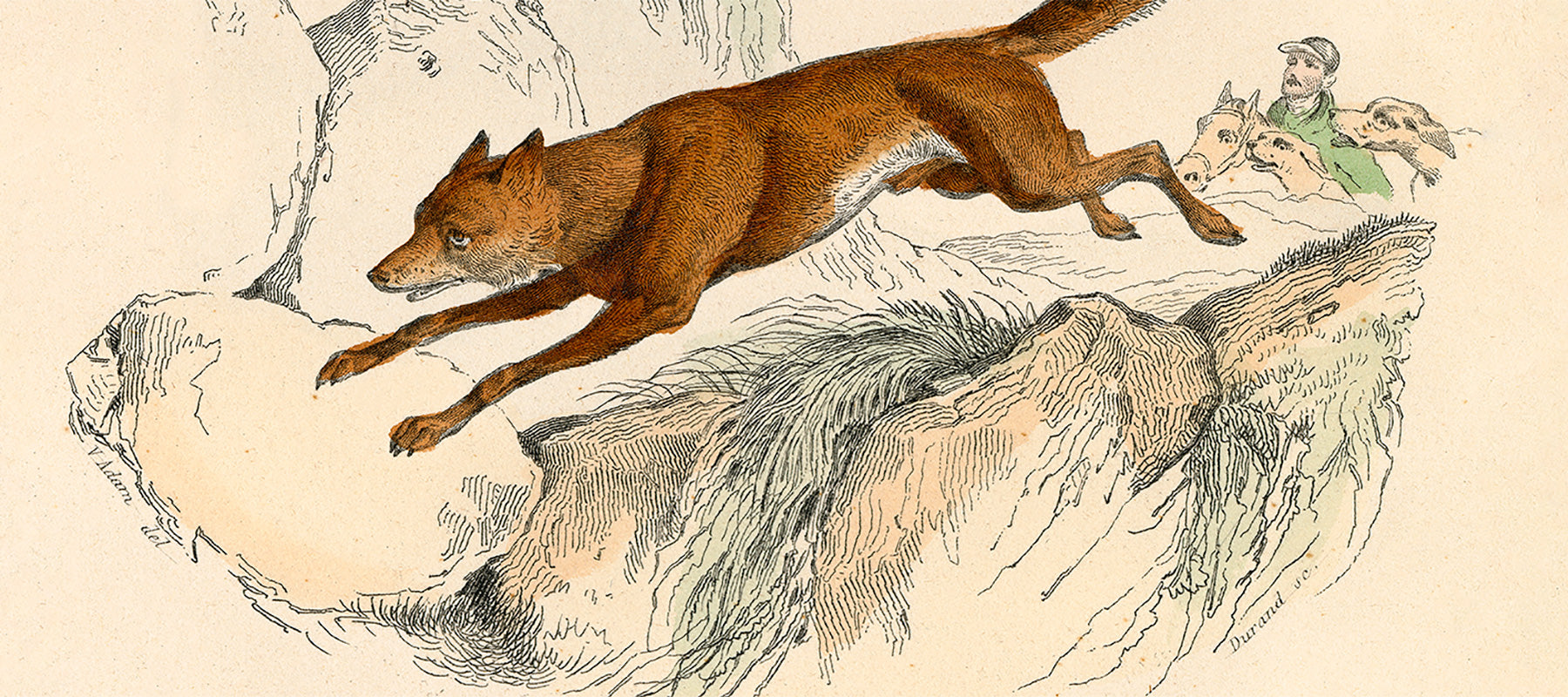 Georges-Louis Leclerc, Comte de Buffon – The Dybdahl Co.