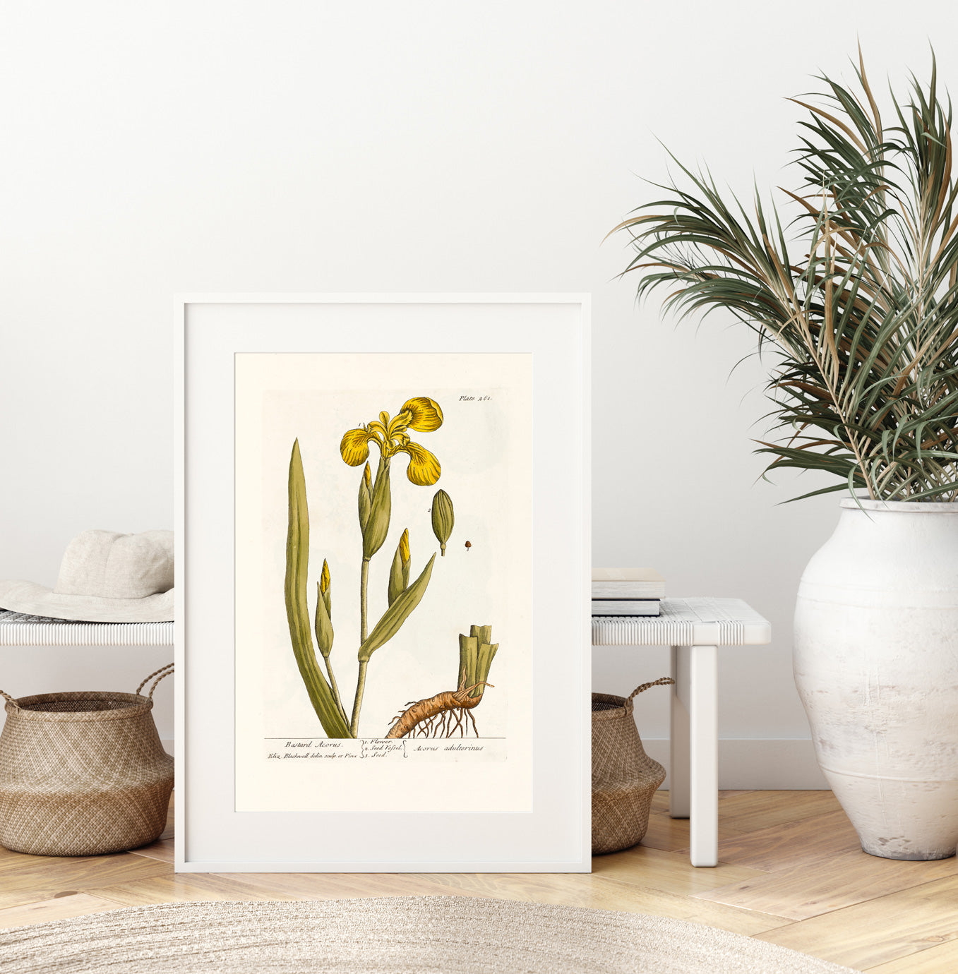 Curious Herbal (sub. Botany) – The Dybdahl Co.