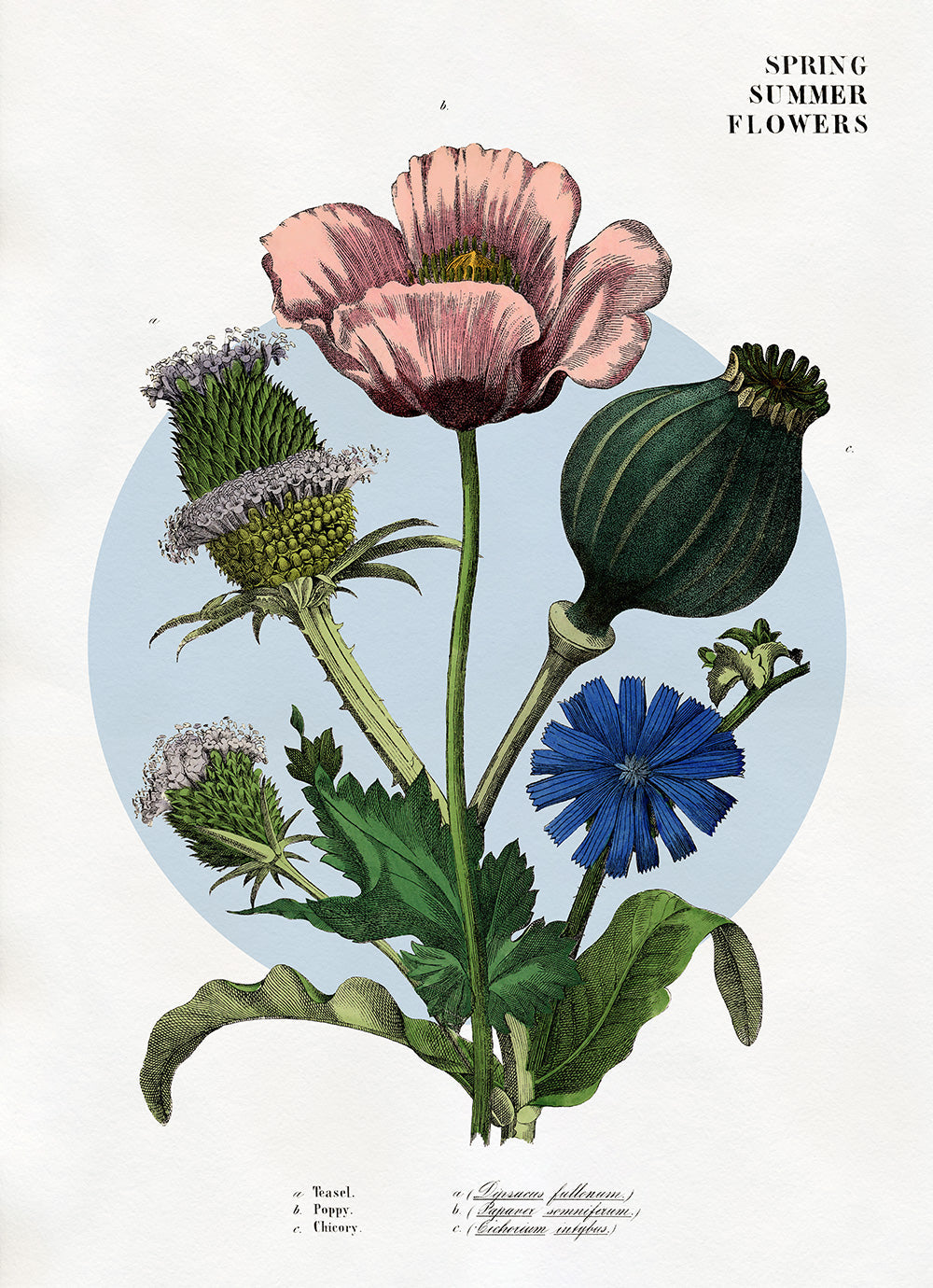 Flowers (sub. Botany) – The Dybdahl Co.