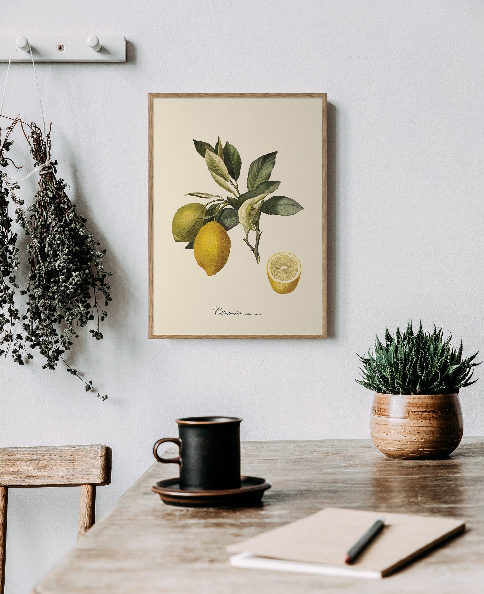 Fruits & Vegetables (sub. Botany) – The Dybdahl Co.