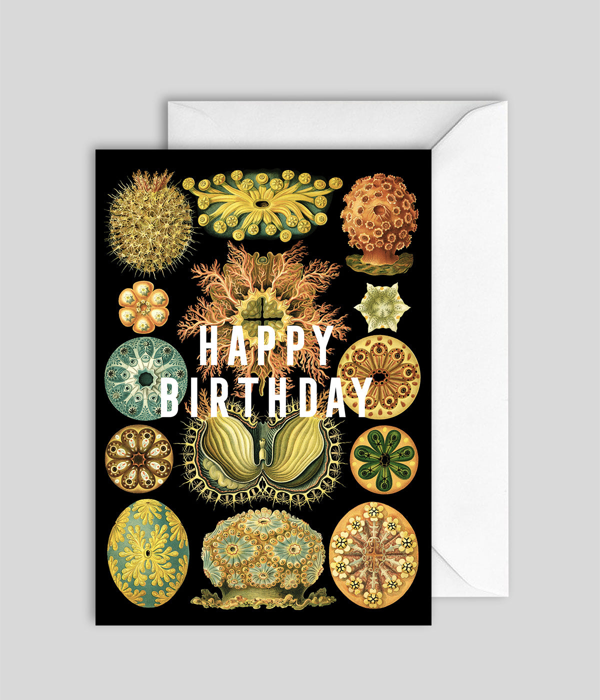 Happy Birthday (sub. Greeting Cards) – The Dybdahl Co.