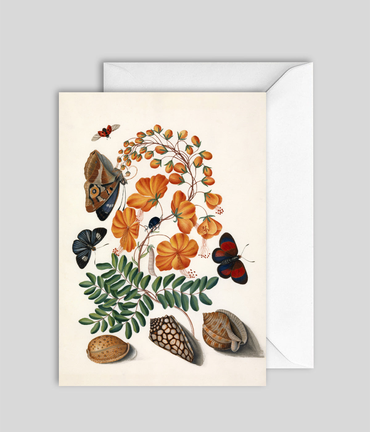 GC7660 – The Dybdahl Co.